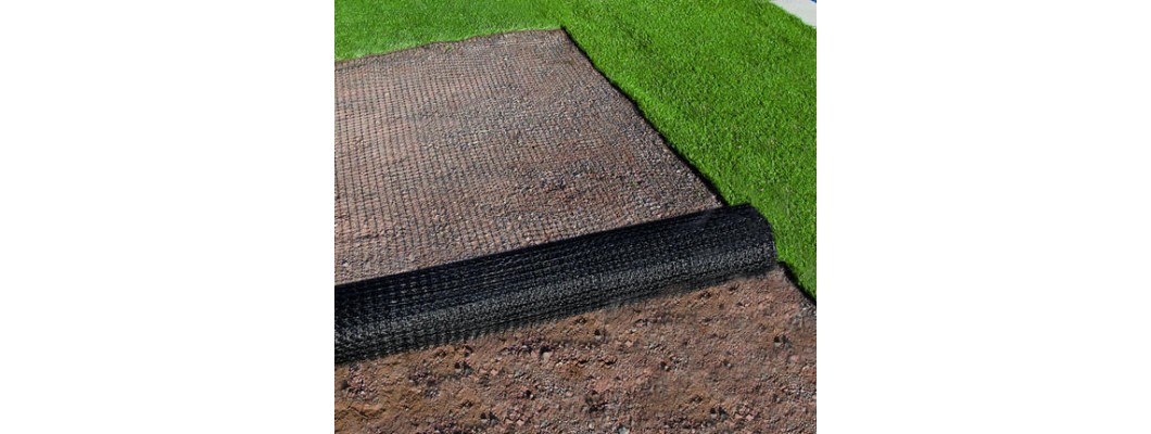 Protejați-vă Grădina de Cartițe cu Plase Anti-Cartiță